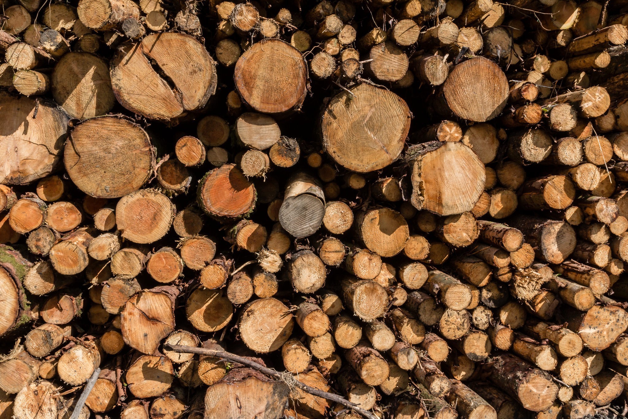 What goes into making Woodlet wood pellets & July 2017 Quality report ...